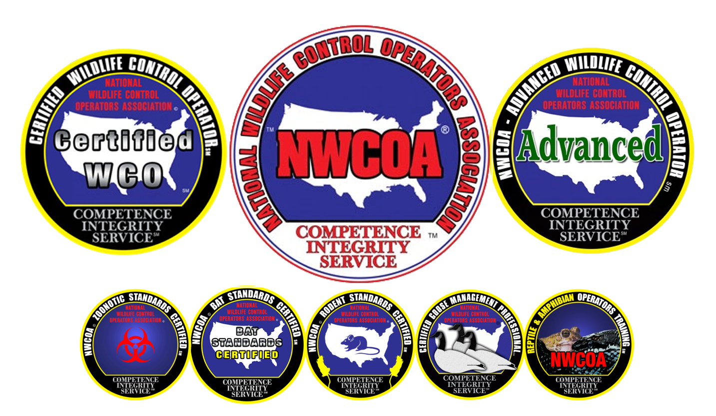 WildPipe Wildlife Cloud Contact Center & Customer Relationship Manager ...